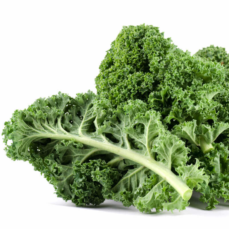 50 Graines de Chou Kale Vert Demi Nain, Brassica Oleracea – NinaSeeds